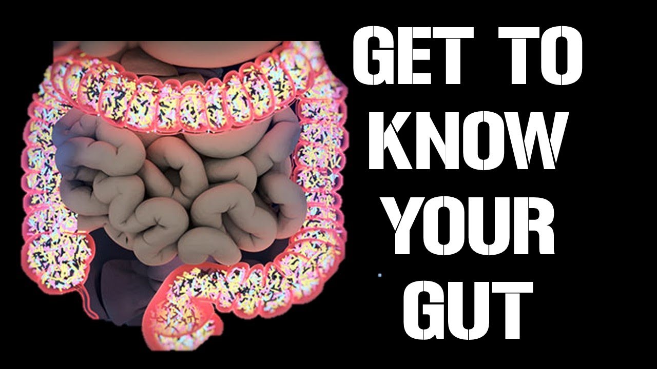 GET TO KNOW YOUR GUT - YouTube