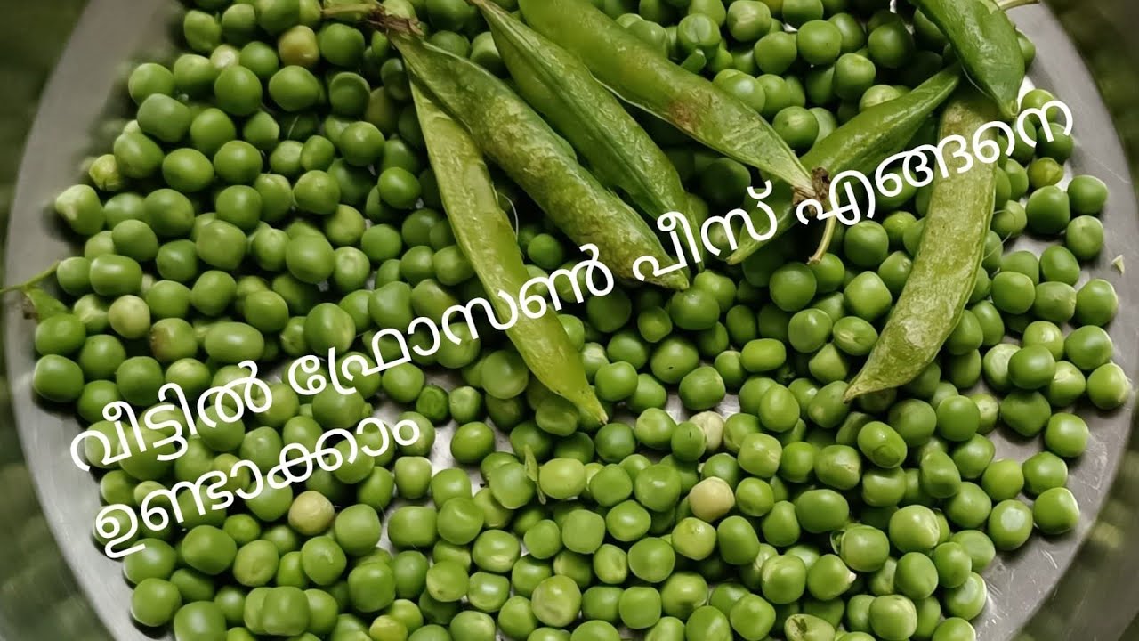 FROZEN PEAS@CHI-NIS KITCHEN - YouTube