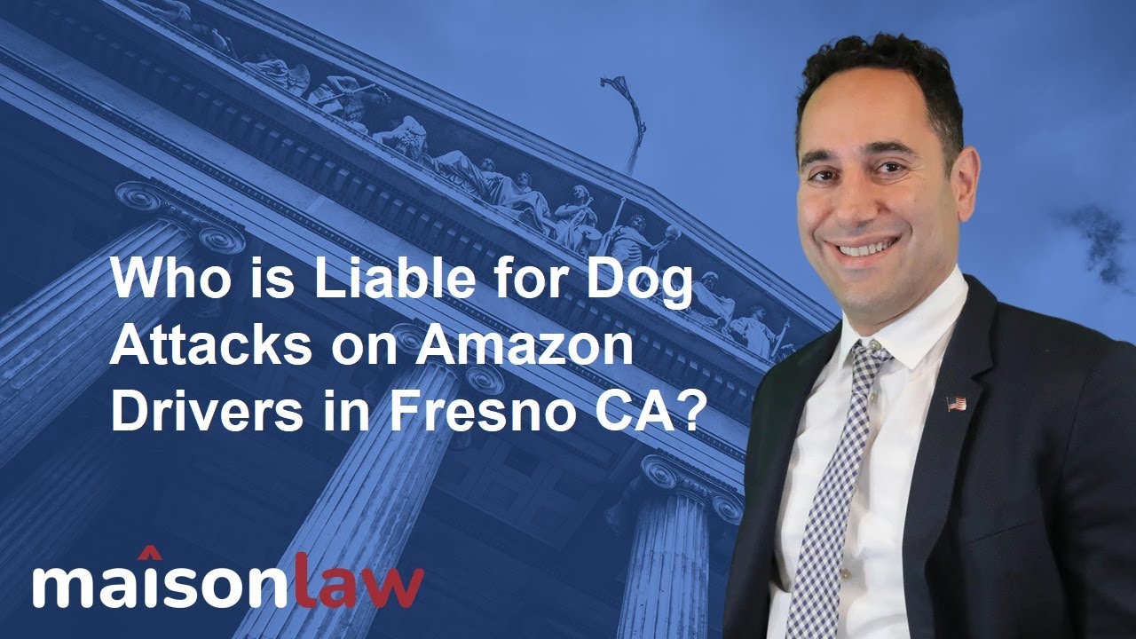 Who is Responsible for Dog Bites on Amazon Drivers in Fresno? - YouTube