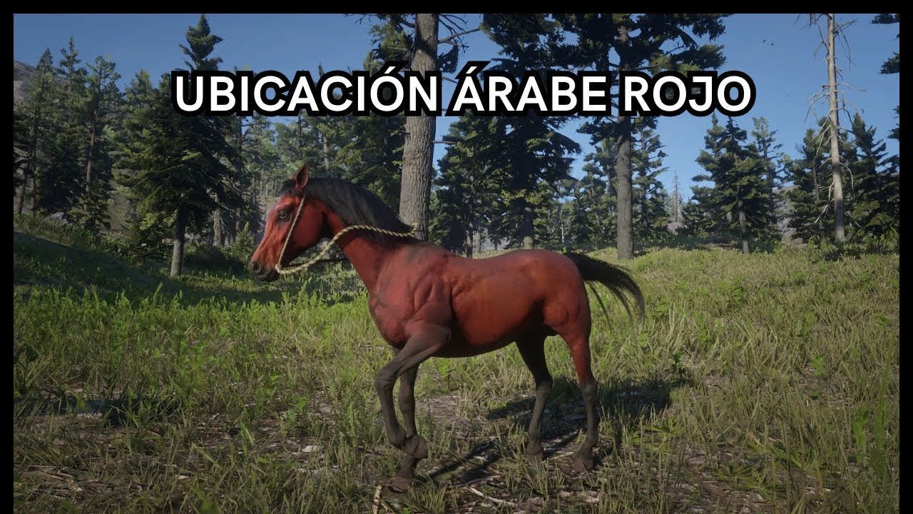 UBICACIÓN DEL CABALLO ÁRABE ROJO EN RED DEAD REDEMPTION 2 - YouTube