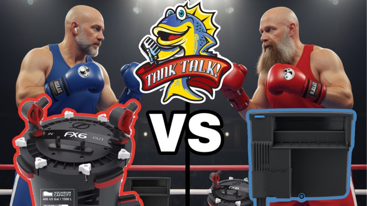 Canister Vs Hang on Back Filter, Which Is Better? - YouTube