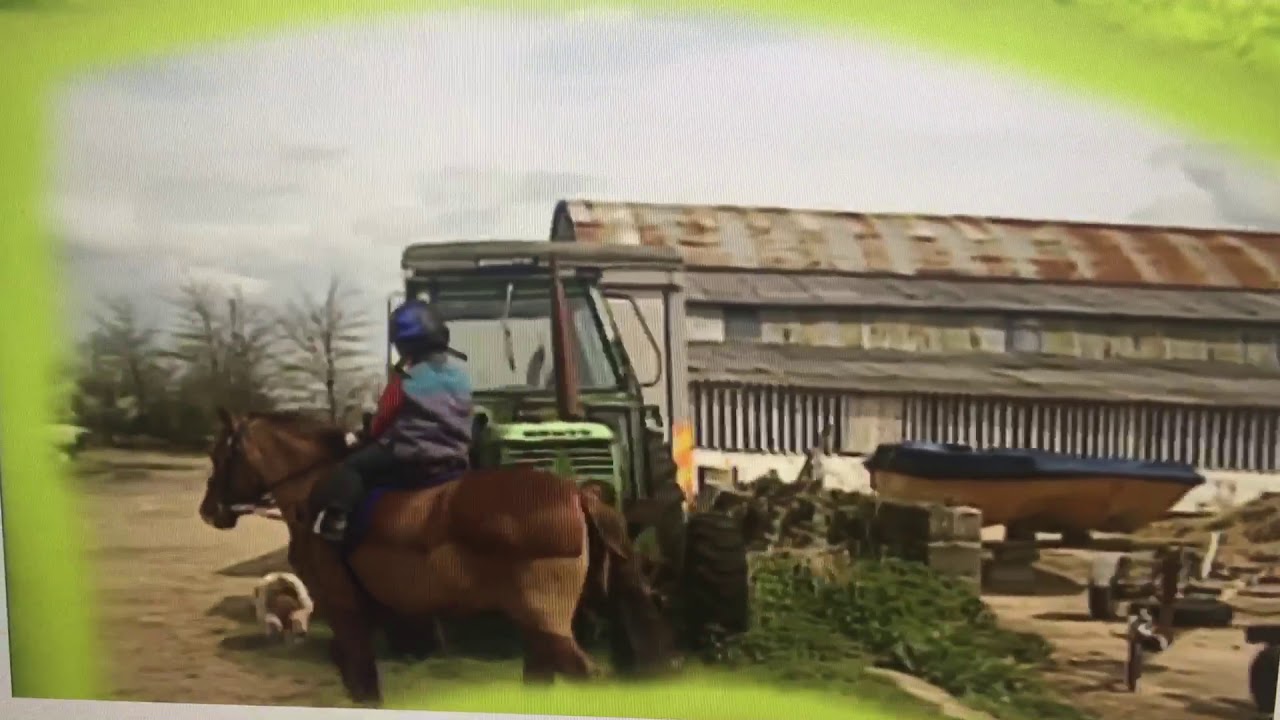Teletubbies Emily and Jester Goodbye Scene For Colleen Ford - YouTube