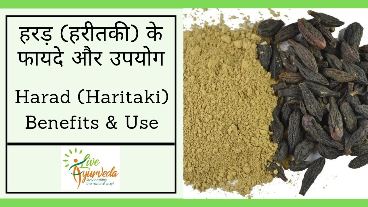हरड़ (हरीतकी) के फायदे और उपयोग || Harad (Haritaki) Benefits and Use ...