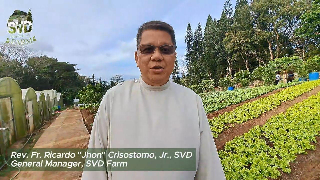 Three Years of #FaithFarmingAndFood at the SVD Farm—Messages from the ...