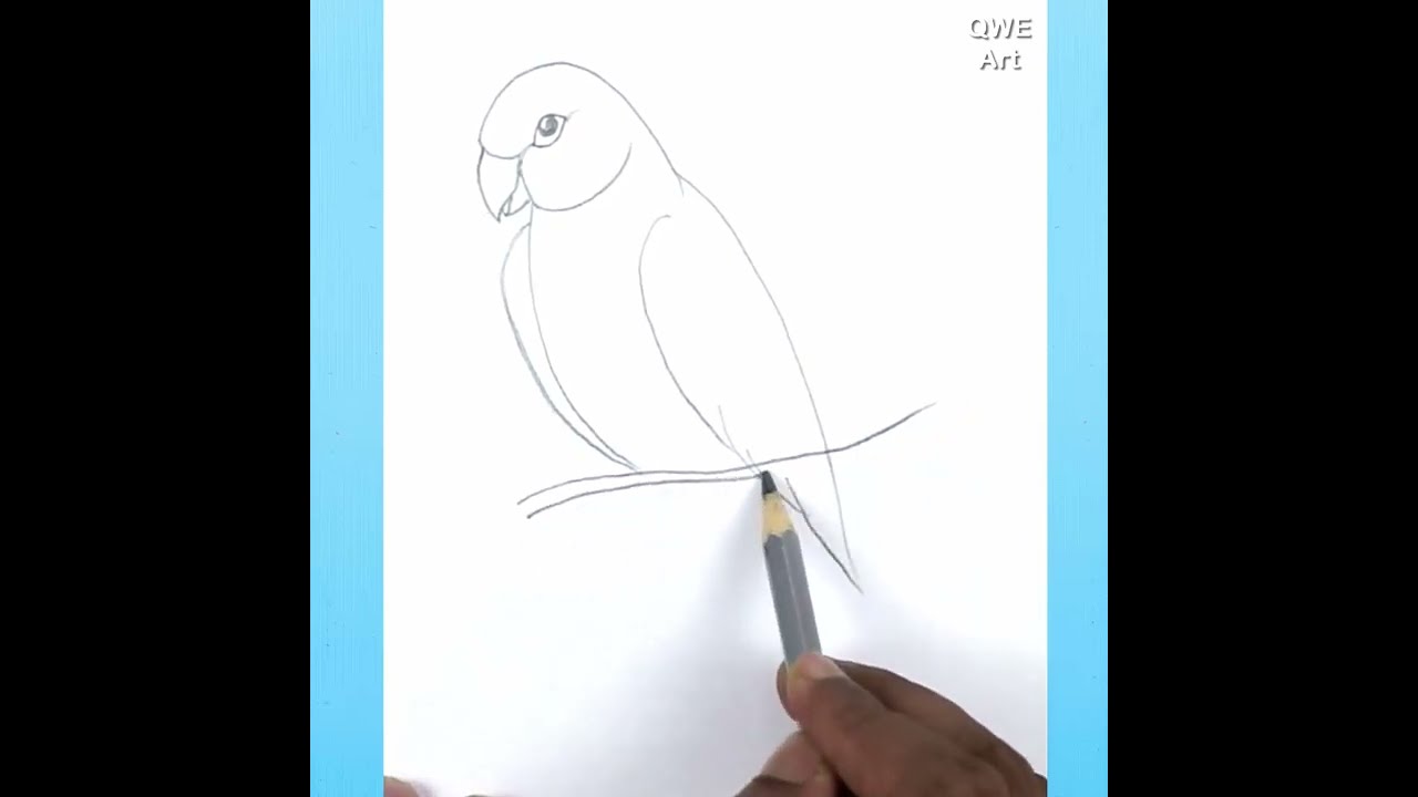Simple Parrot Bird Drawing - YouTube