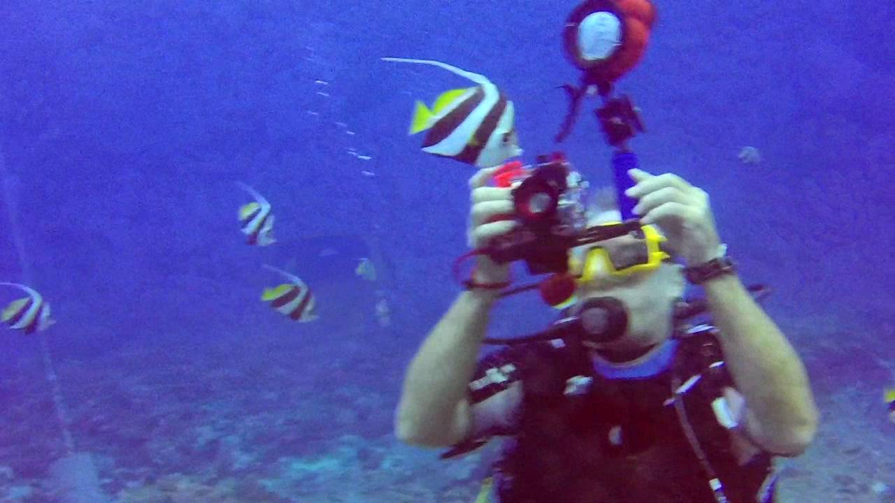 Scuba Diving in Moorea - YouTube
