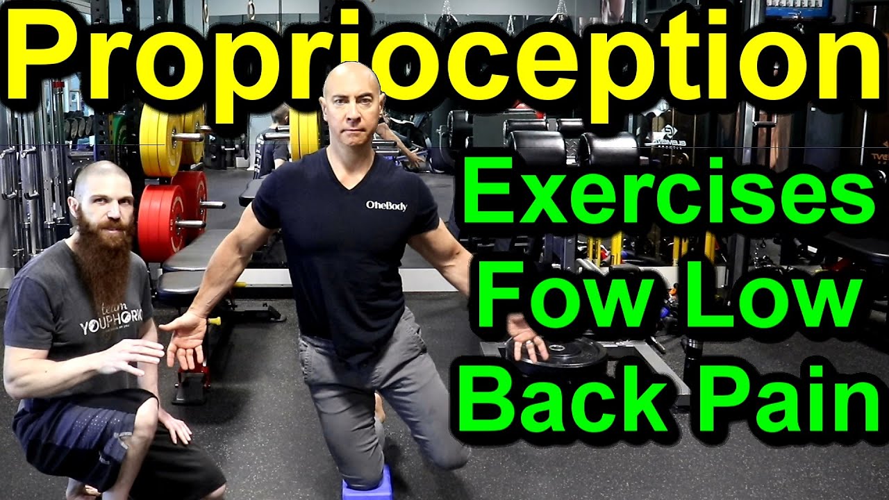 Top 5 PROPRIOCEPTION EXERCISES for LOW BACK PAIN: SI Joint, Lumbar ...