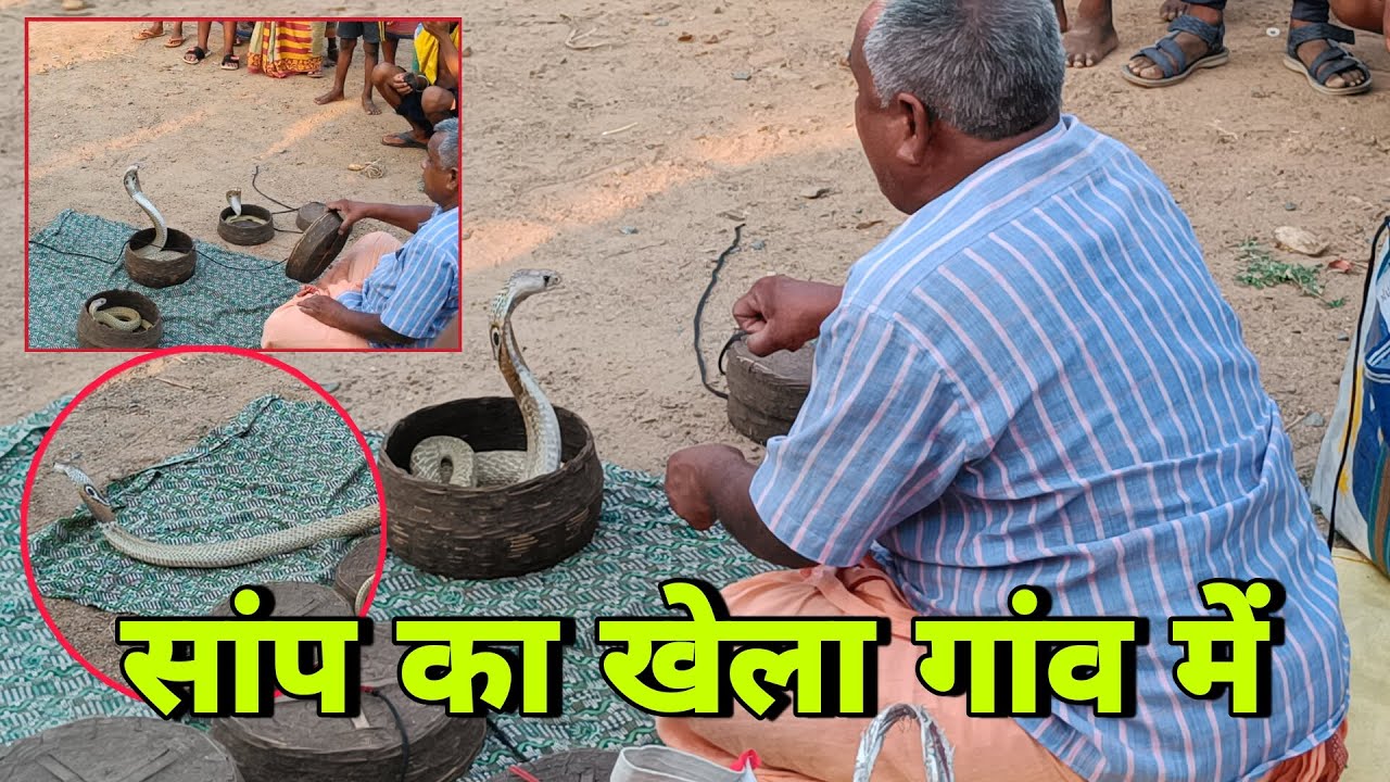 goun mein saap wala khela,इस मदारी ने दिखाया सांप का खेल,cobraking ...