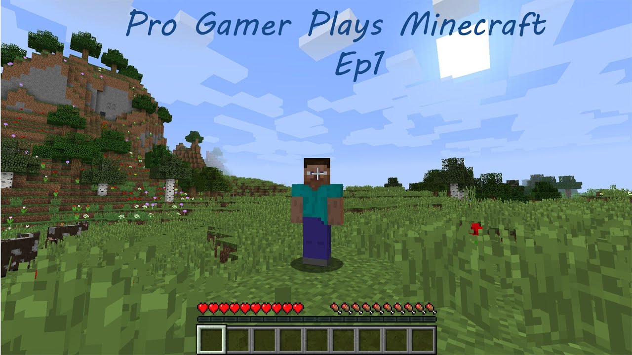 ProGamer Plays Minecraft ep1 - YouTube