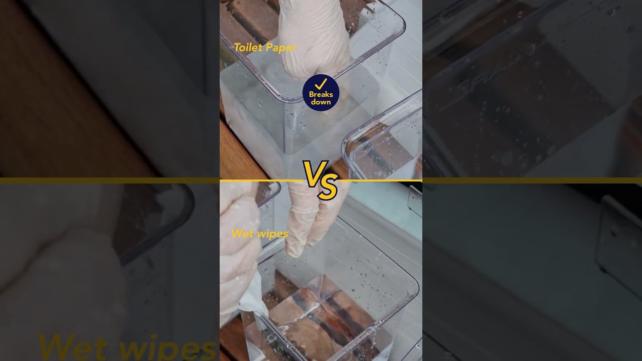 Wet wipes vs toilet paper store