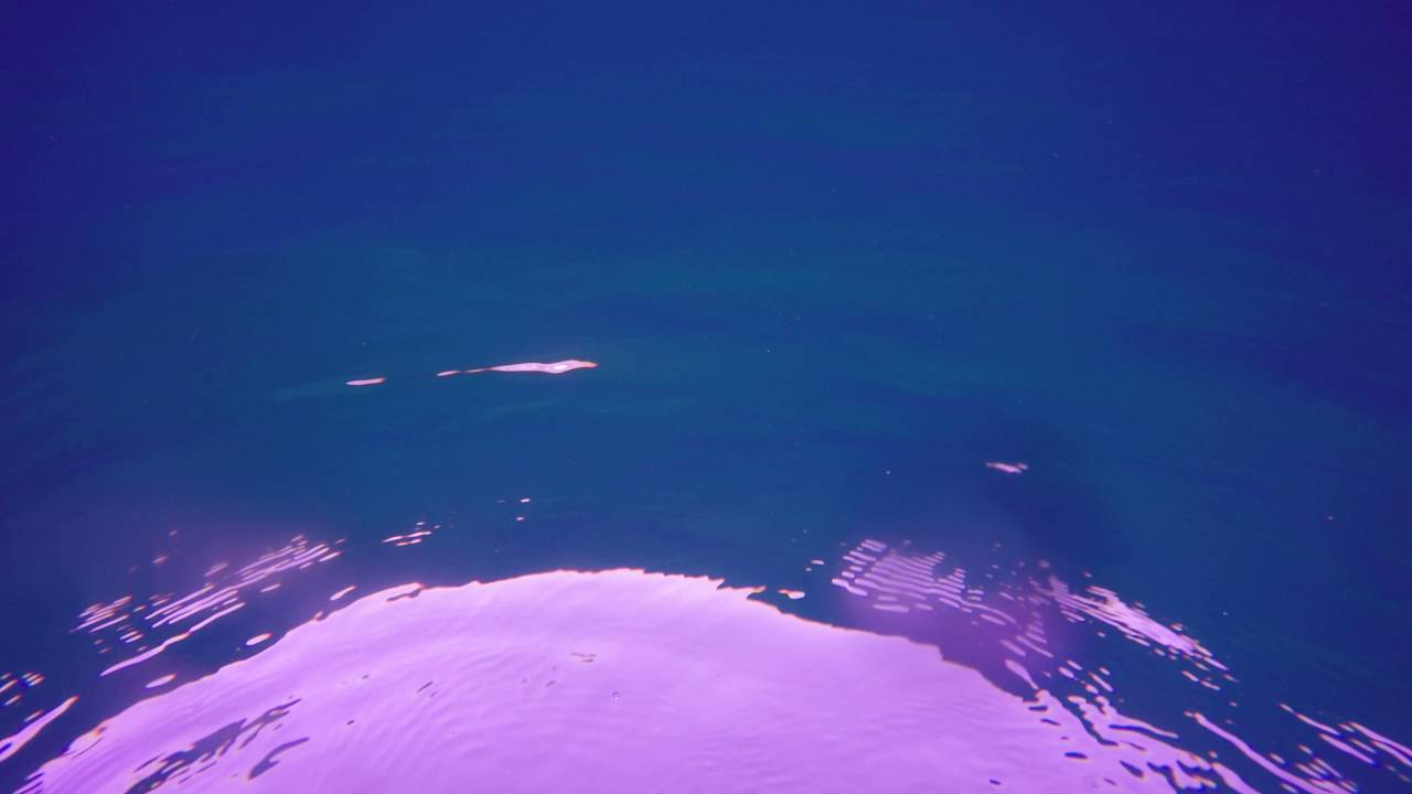 OAHU, HAWAII - Spearfishing Electric Beach Pipes - Jan 2016 - YouTube