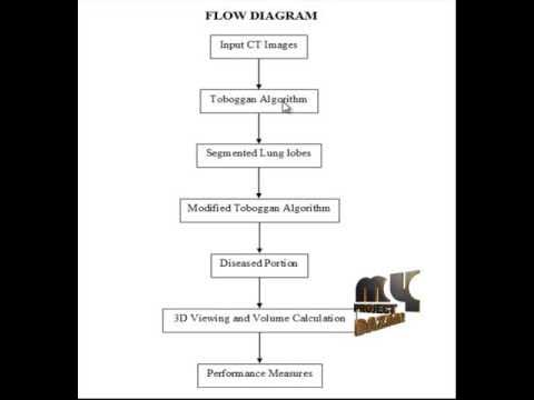 Lung Lesion Extraction Using a Toboggan Based Growing Automatic Segmentation Approach - YouTube