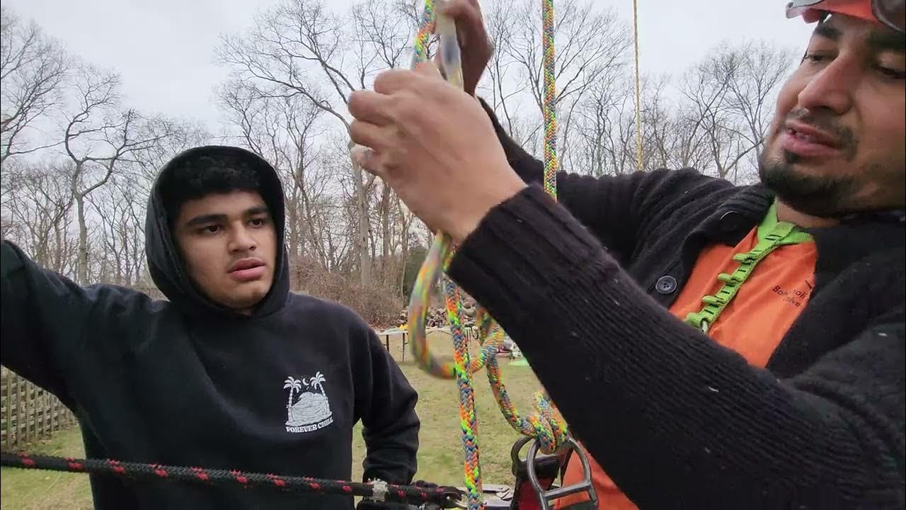 técnicas como escalar un Árbol primera parte - YouTube