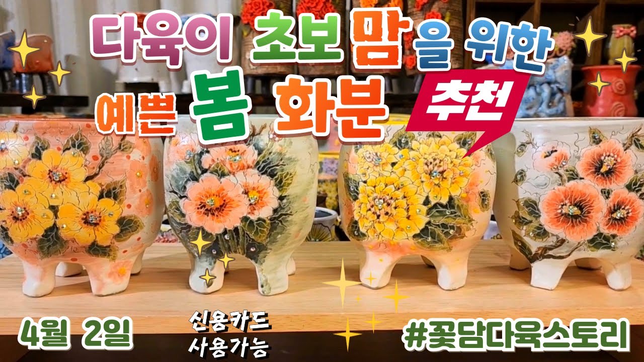 4월 2일 다육이 초보맘을 위한 예쁜 봄 화분 추천 화분 꽃담다육스토리 예쁜화분 화분싸게파는곳 다육식물 多肉植物