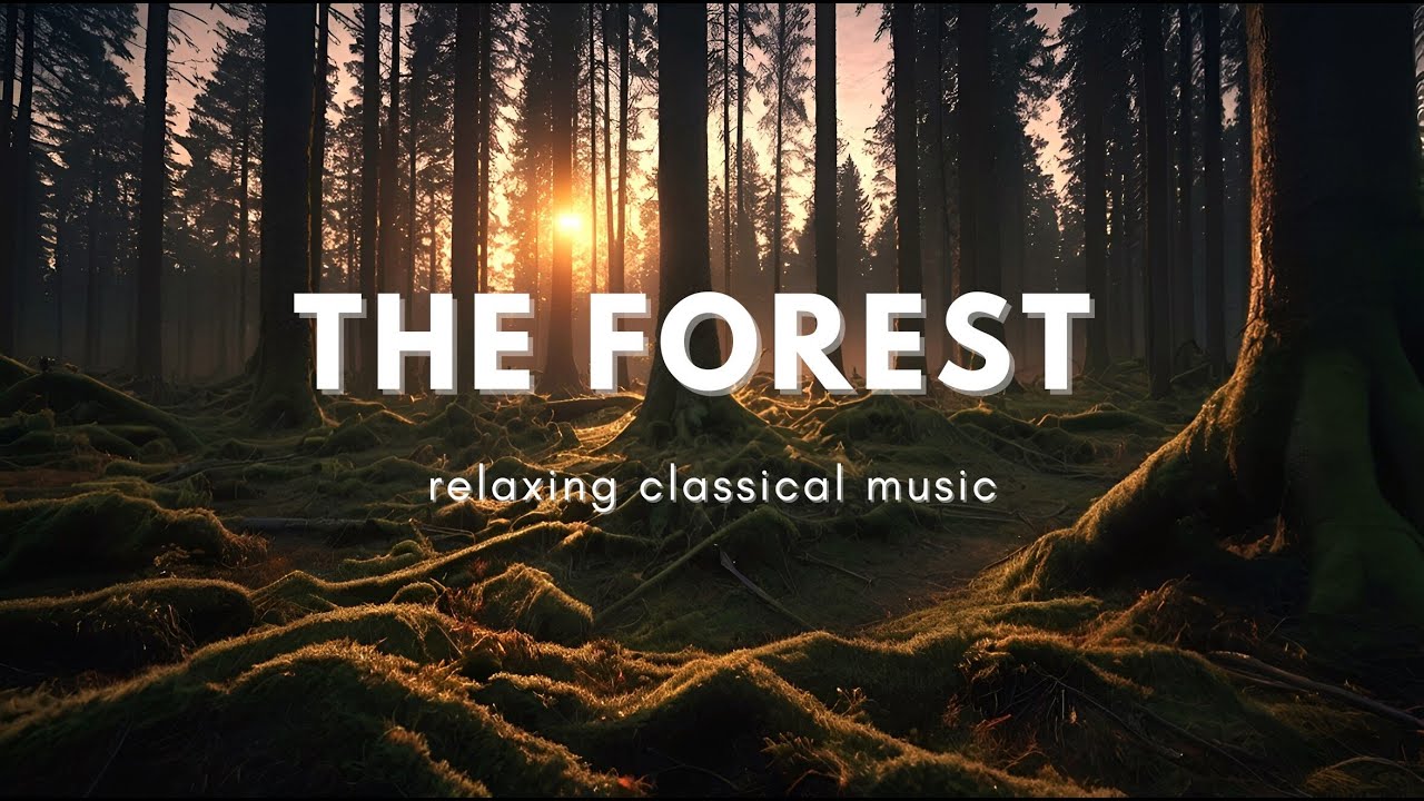 The Forest - Relaxing classical music |1 HOUR | - YouTube
