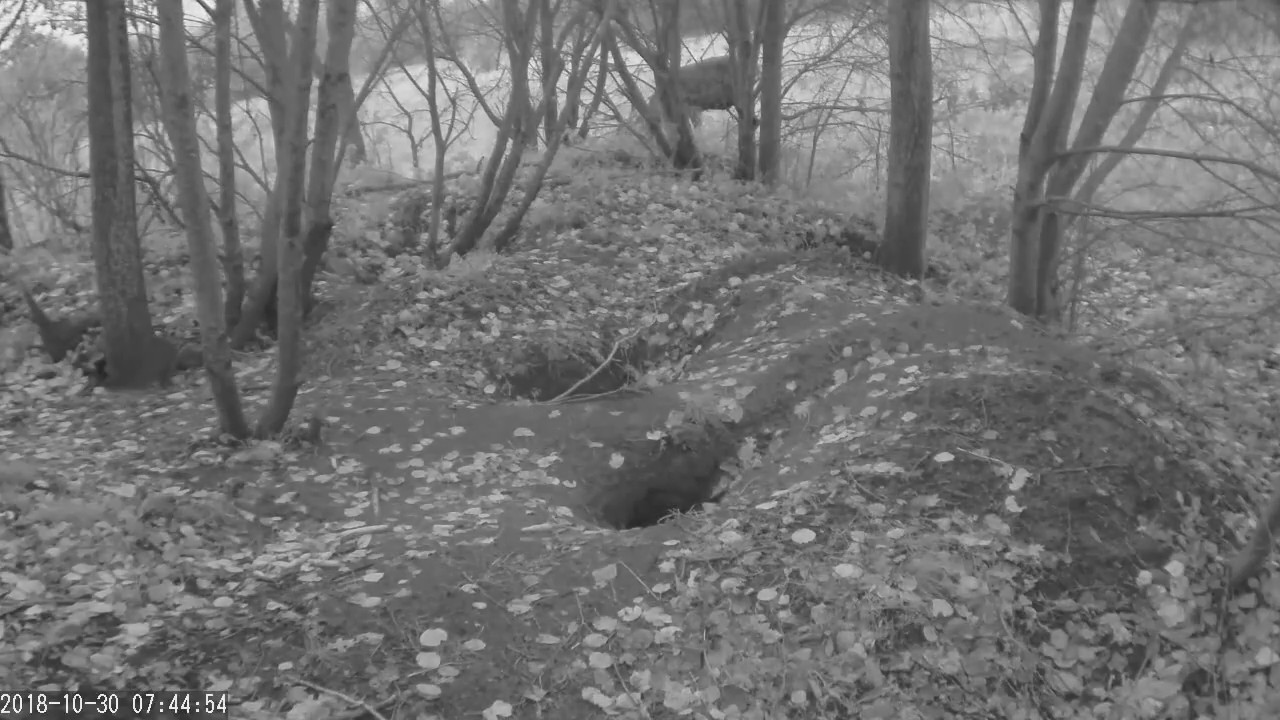 Badger castle 2018 10 30 Stag in the background 7:42 - YouTube