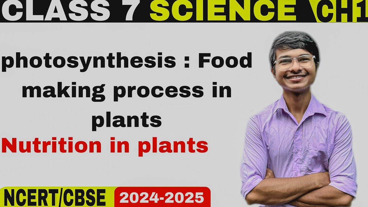 Photosynthesis : Food making process in plants | class 7 science NCERT ...