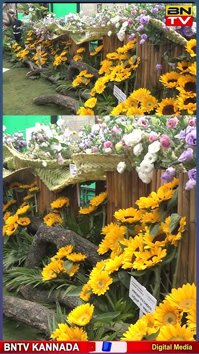 35 ಲಕ್ಷ ಫ್ಲವರ್ಸ್, ಅದ್ಭುತ ಫ್ಲವರ್ ಶೋ Lalbagh Flower Show 2025 | Kannada news | BNTV KANNADA - YouTube