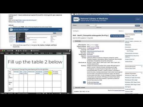 SCB252-Lab5 Exercise 2&3 Demonstration - YouTube