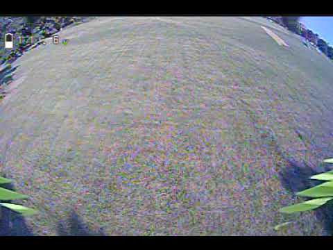 Finch 3 (3s 3 inch quad) - YouTube