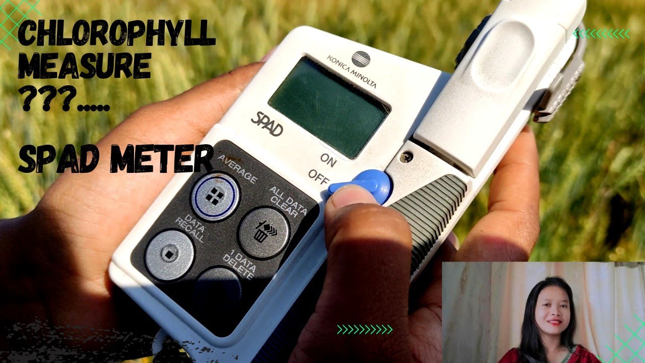 SPAD meter(Chlorophyll measurement) - YouTube