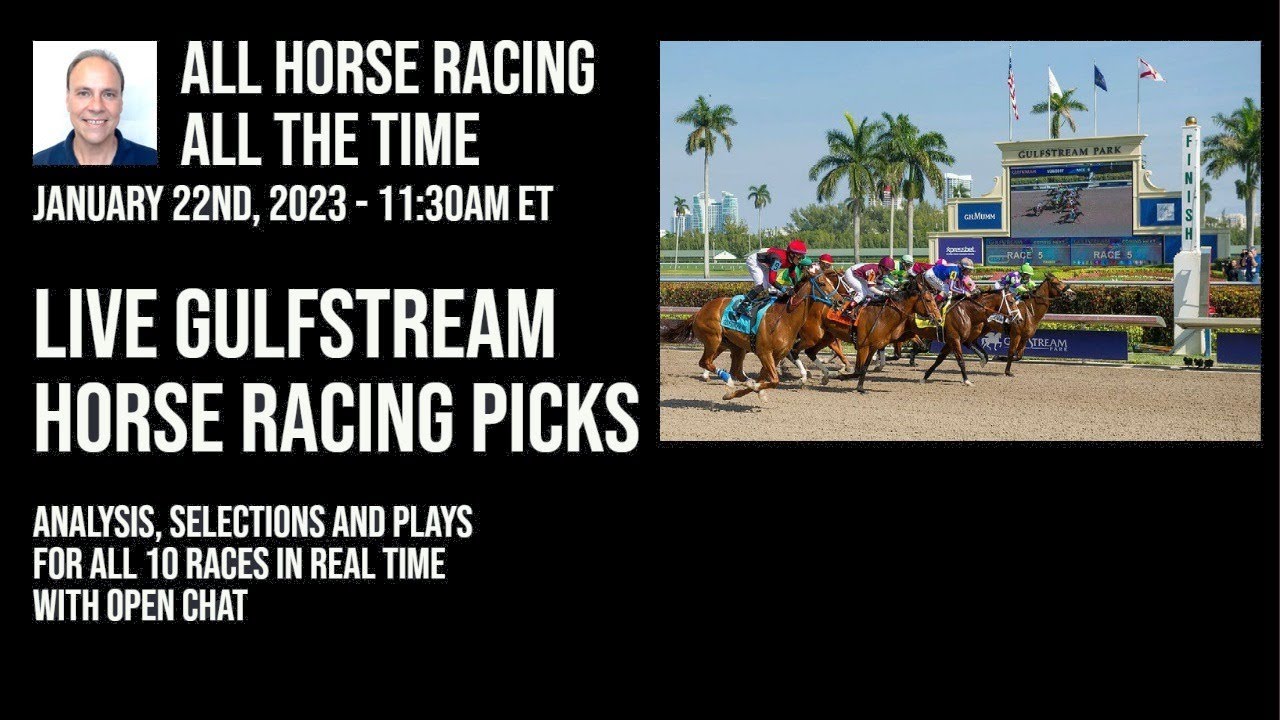 Live Gulfstream Horse Racing Picks - Analysis, Selections, Plays and ...