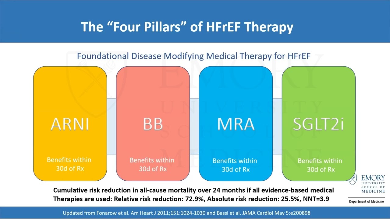 Updates In Treatment Pathways For Patients With Heart Failure YouTube Updates In Treatment Pathways For Patients With Heart Failure YouTube