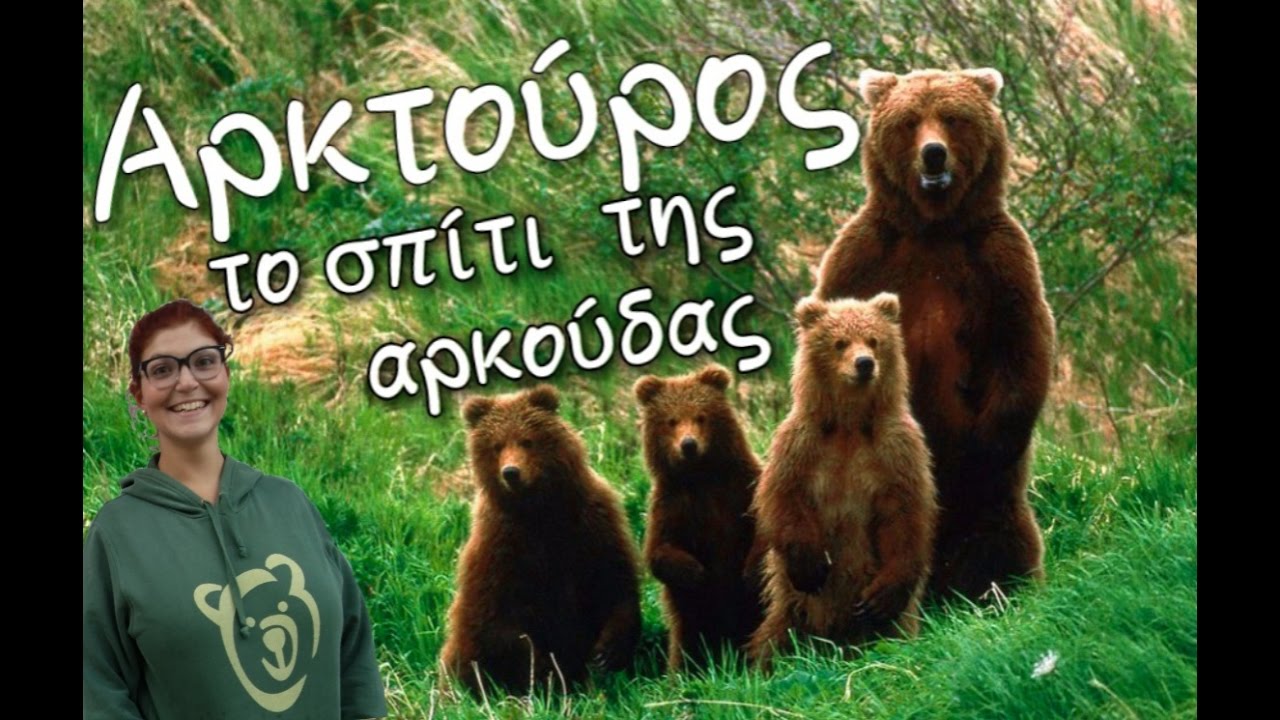 ΑΡΚΤΟΥΡΟΣ - ΤΟ ΣΠΙΤΙ ΤΗΣ ΑΡΚΟΥΔΑΣ - YouTube