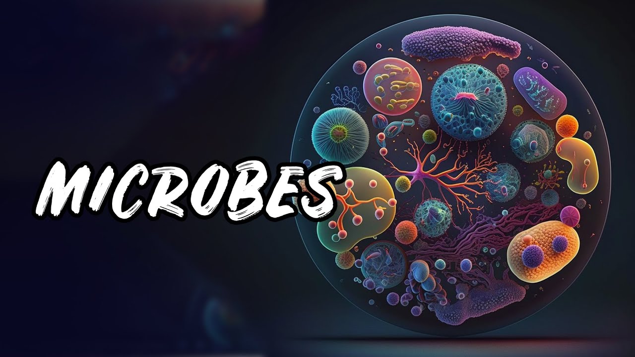 Microbes: How Tiny Organisms Rule the World - YouTube
