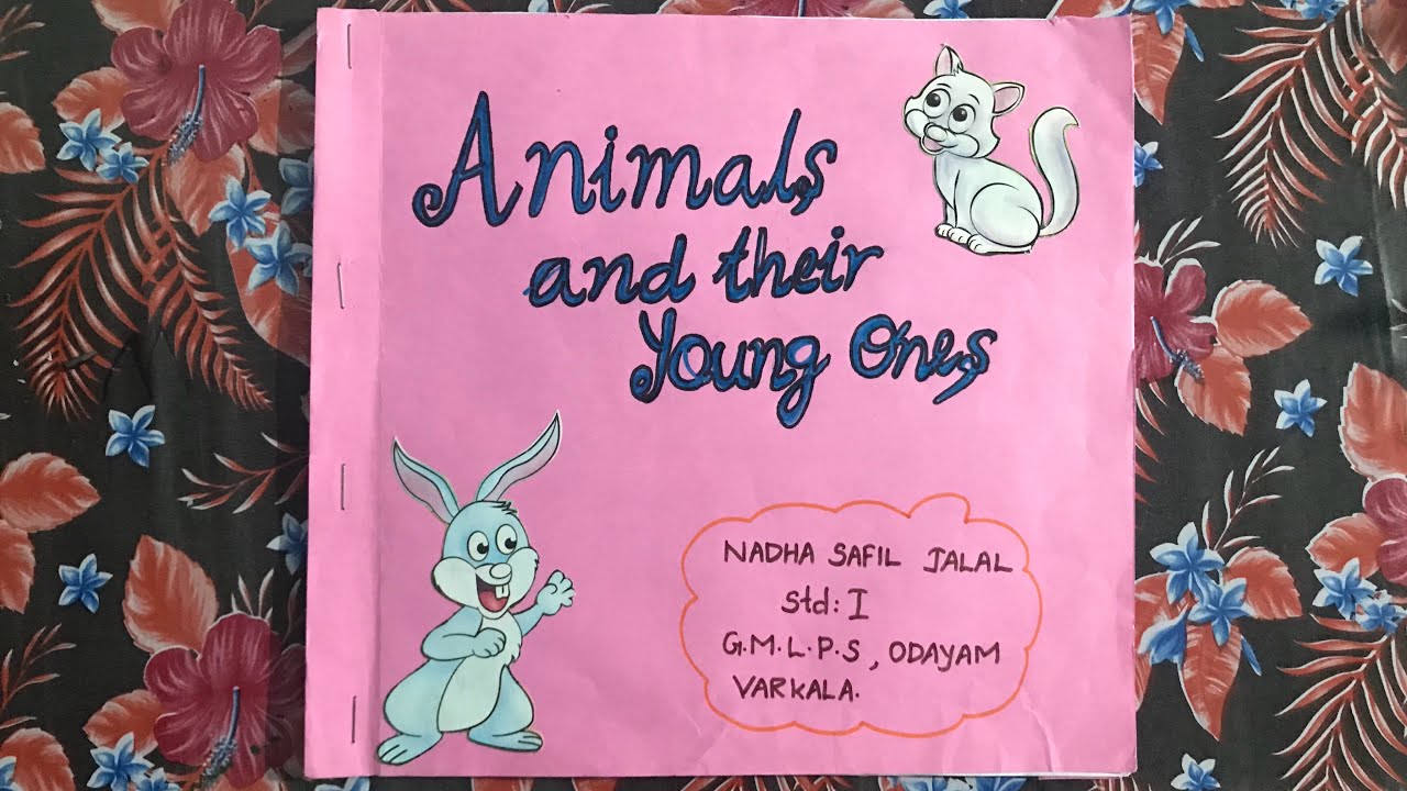 Animals and their Young Ones/Animals and their Babies/Animals and their ...