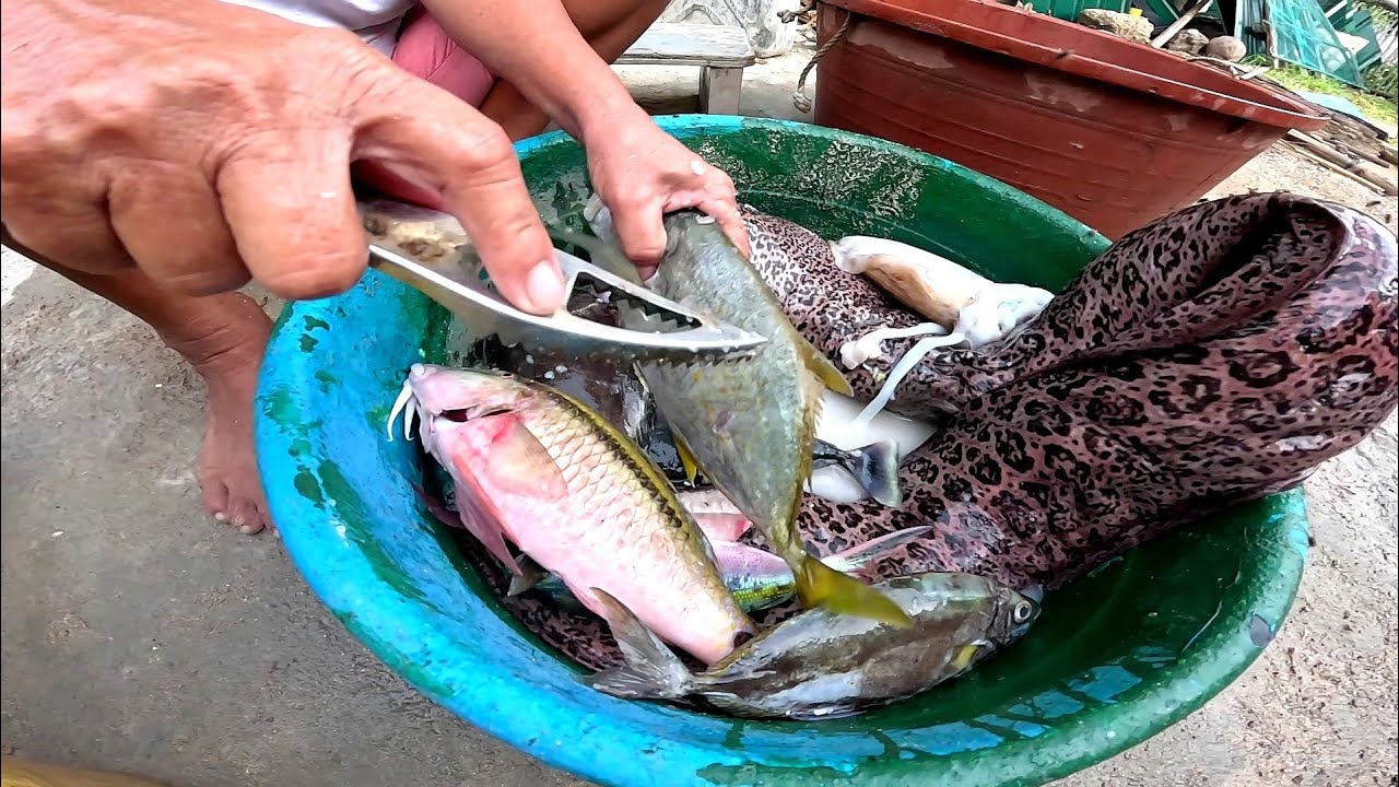 KAPOY😫 | ANO KAYA ANG GINAWA SA INDONG🤔 #spearfishingphilipines # ...