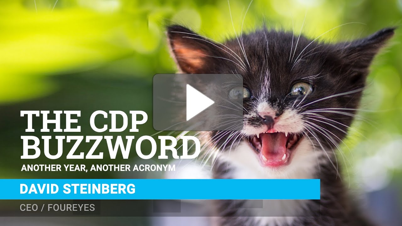 The Unified Data Platform by Foureyes vs the CDP buzz - YouTube