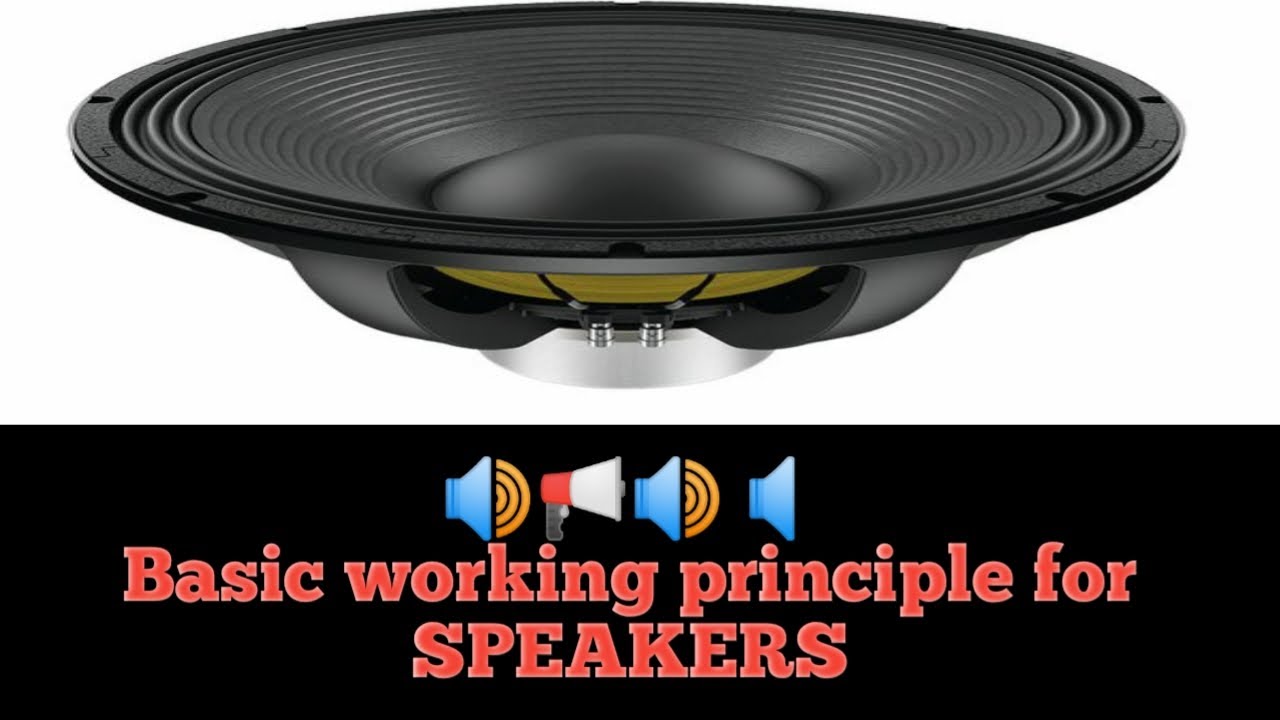 How the speaker works√ | SSM• | basic speaker function√| - YouTube