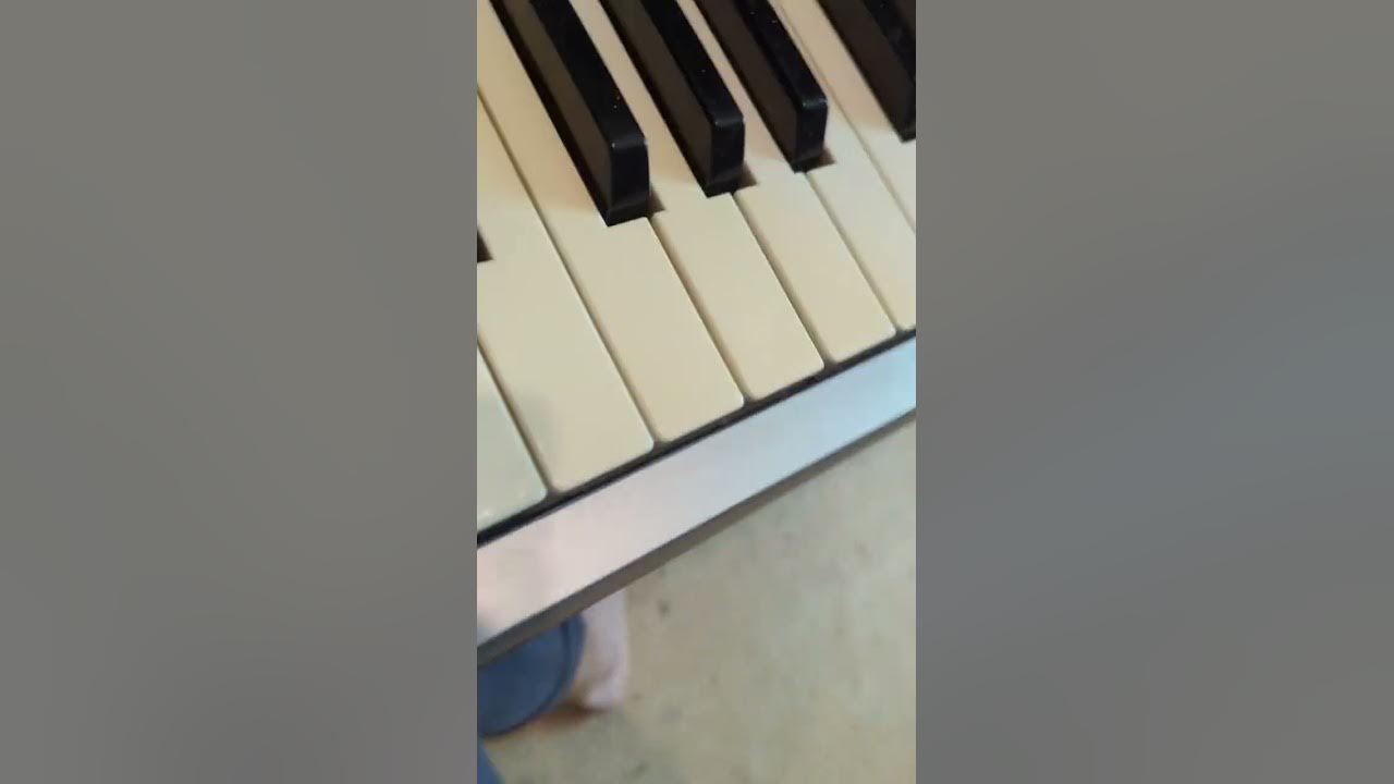 Circuitpython synthio Monophonic Synth on the Raspberry Pi Pico W - YouTube