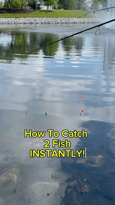 How To Catch TWO Fish INSTANTLY At Once!! 🎣🐟🐟 #shorts #fishing - YouTube