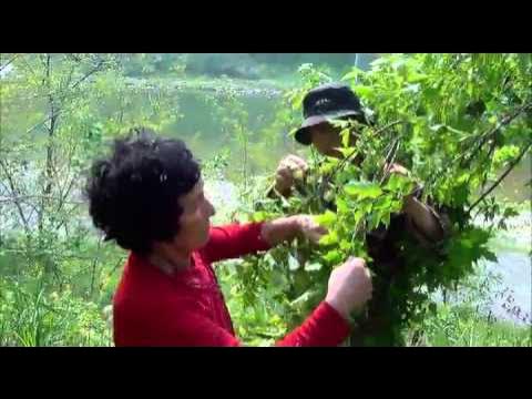 EBS 다큐프라임 - EBS 3D 입체 다큐멘터리_한국의 강 4부_강과 함께 살어리랏다_#001 - YouTube