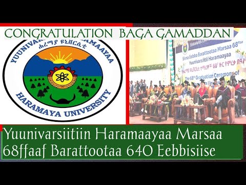 Haramaya univercity Graduation Ceremony 2016/2024 - YouTube