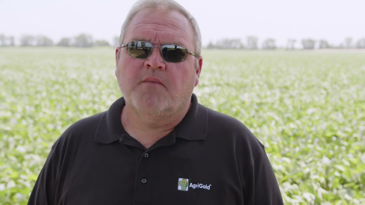 Robb Dedman on Disease Management in Arkansas - YouTube