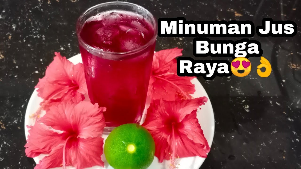 Minuman Jus Bunga Raya - YouTube
