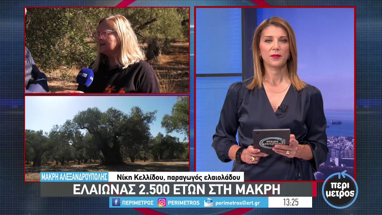 Ο αρχαίος ελαιώνας της Μάκρης | 30/10/2023 | ΕΡΤ - YouTube