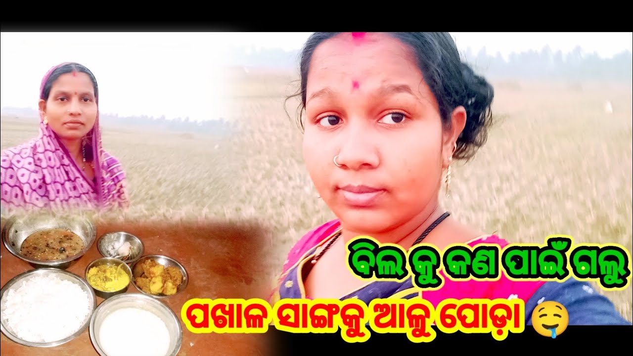 ବିଲ କୁ କଣ ପାଇଁ ଗଲୁ//ପଖାଳ ସାଂଗକୁ ଆଳୁ ପୋଡ଼ା ର ମଜା🤤//puri bohu pratima ...