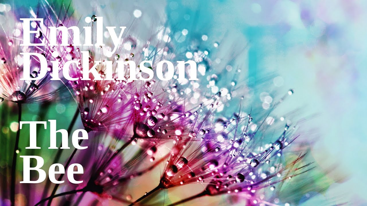 Emily Dickinson - The Bee - YouTube