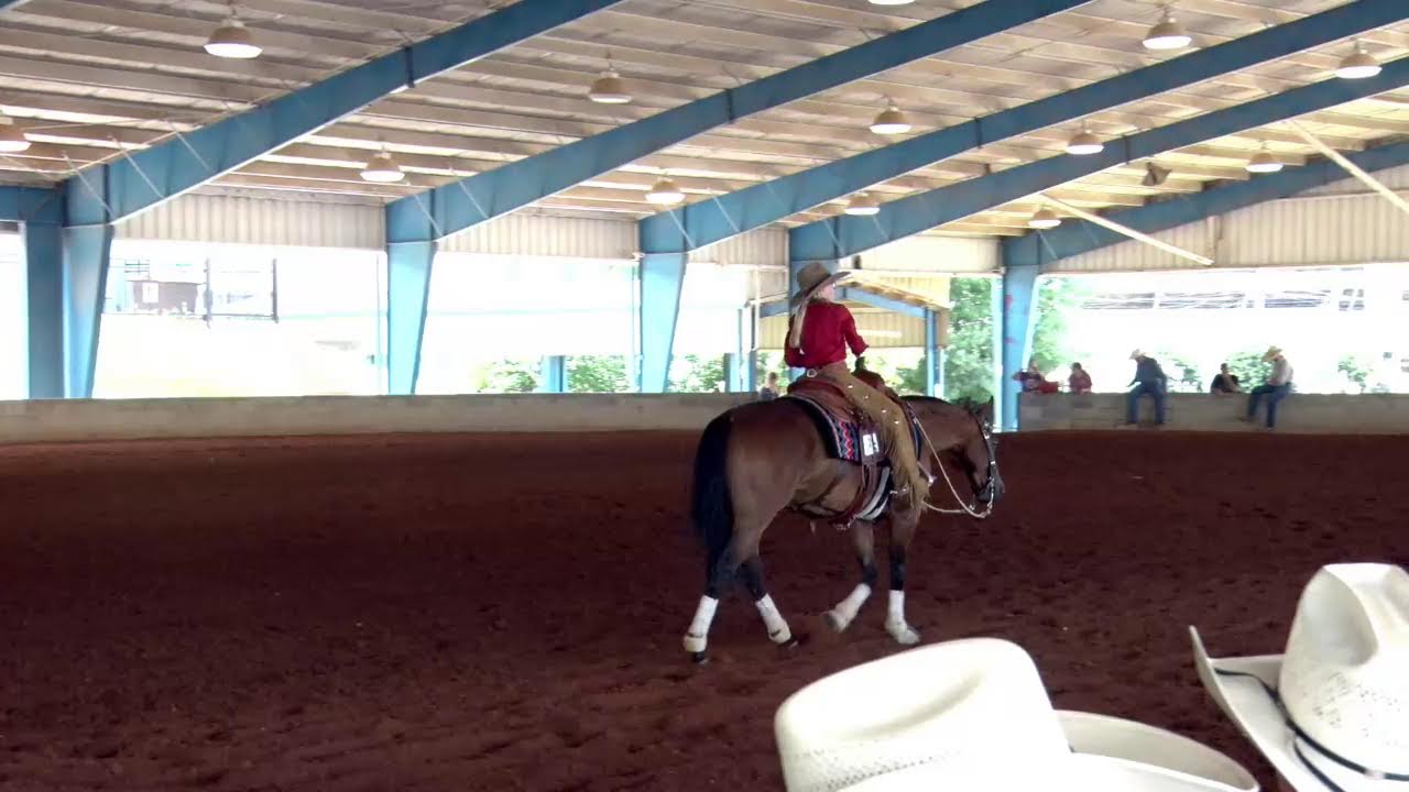 2025 Southern Ranch Horse Sizzler Thursday July 17 Outdoor Arena - YouTube