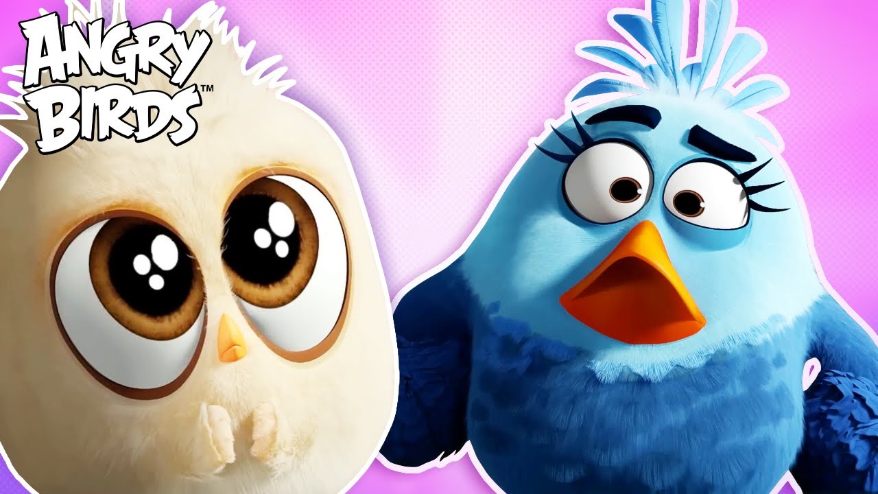 Camping and Survival with Angry Birds - YouTube