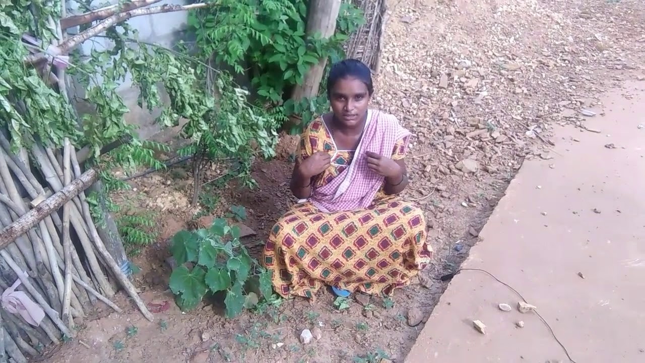 అమ్మో అతిబల చెట్టు ఉపయోగాలు..!! Uses And Benefits Athibala Plant - YouTube