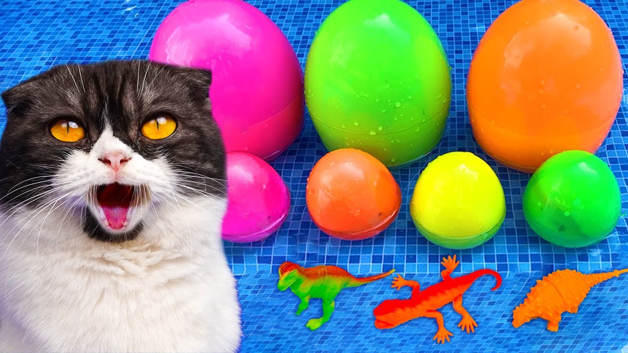 CoCo Cat Explores the World of Fruits and Animals in Giant Eggs, Toys ...