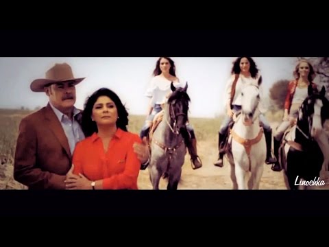 Las Amazonas || Fan-Trailer