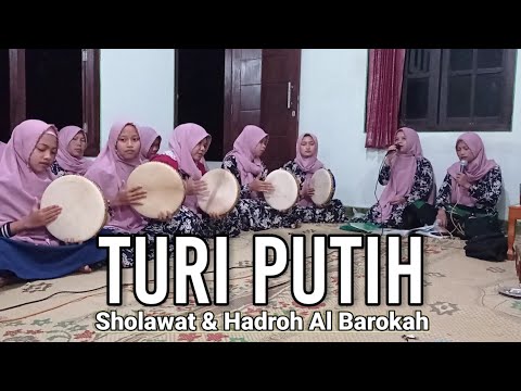 Turi putih - Sholawat & Hadroh Al Barokah