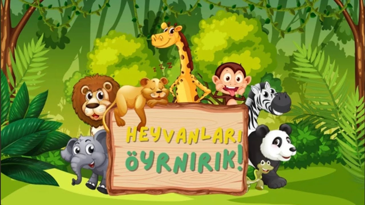 Heyvanları öyrənirik| Heyvanları tanıyaq| Heyvanlar aləmi | Öyrədici ...