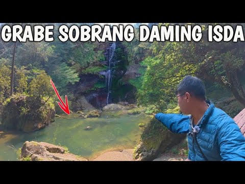 Namangha Kami Sa Sobrang Daming Isda Sa Baba Ng Falls Dito Sa Bundok